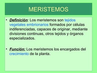 Meristemos | PPT