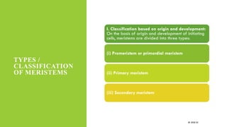 Meristems_note_Classification_Types_description | PDF