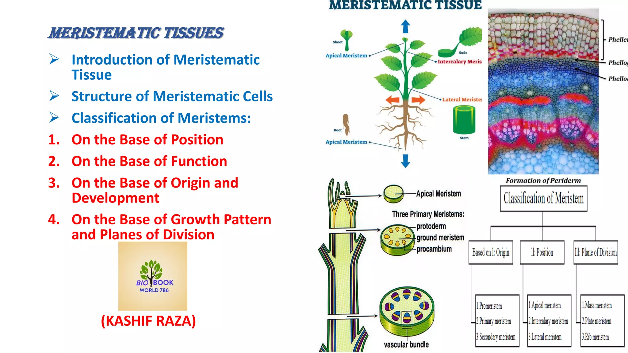 MERISTEMS TISSUE AND ITS CLASSIFICATION.pdf