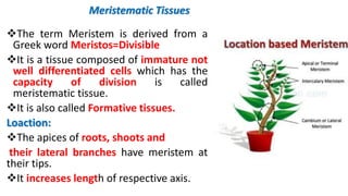 MERISTEMS TISSUE AND ITS CLASSIFICATION.pdf