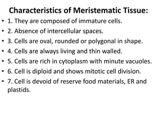 meristmatic tissue.pptx