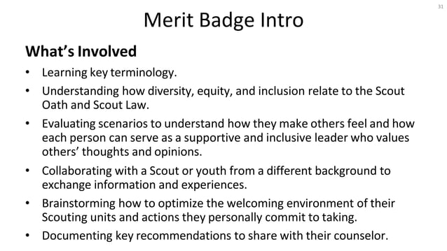 Citizenship in Society Merit Badge Presentation | PPTX