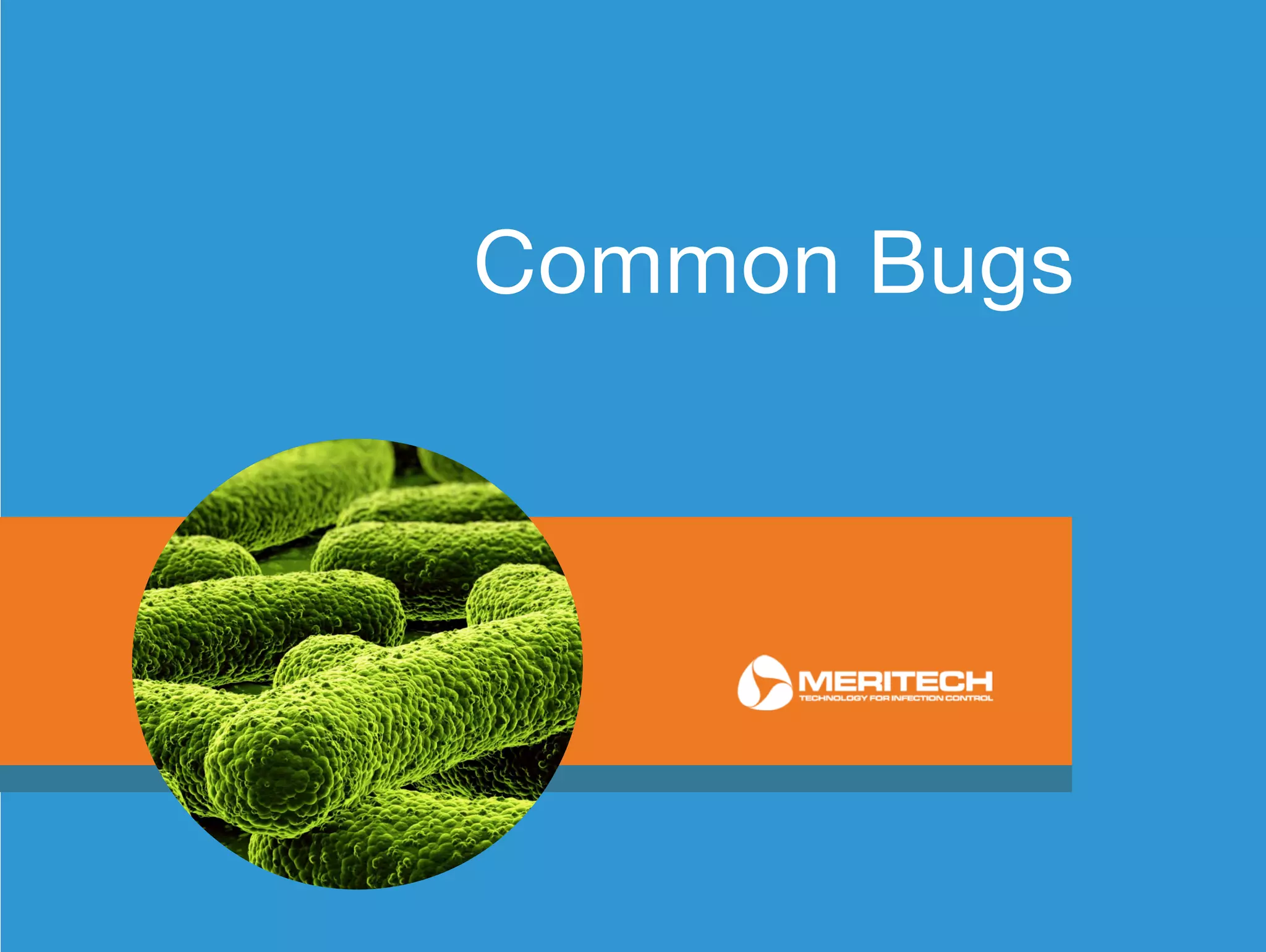 Bugs 101: Common Viruses | PDF | Digestive Disorders | Diseases and ...