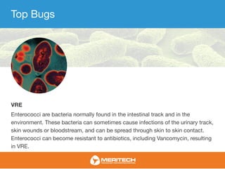 Bugs 101: Common Viruses | PDF