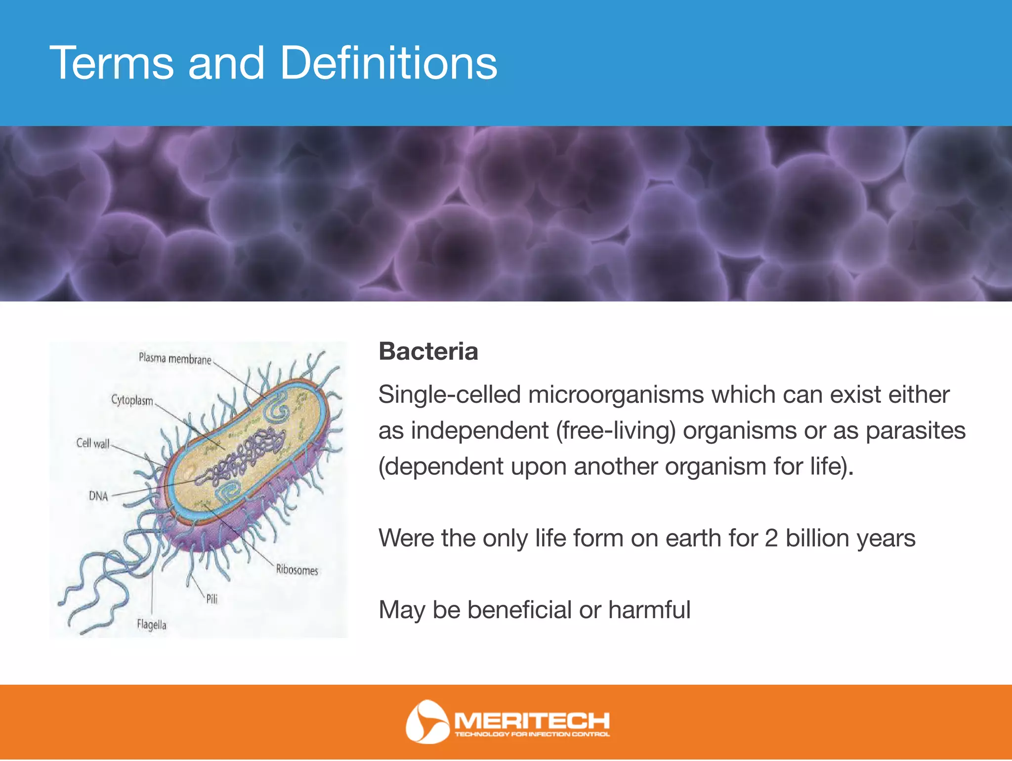 Microbiology 101 | PDF