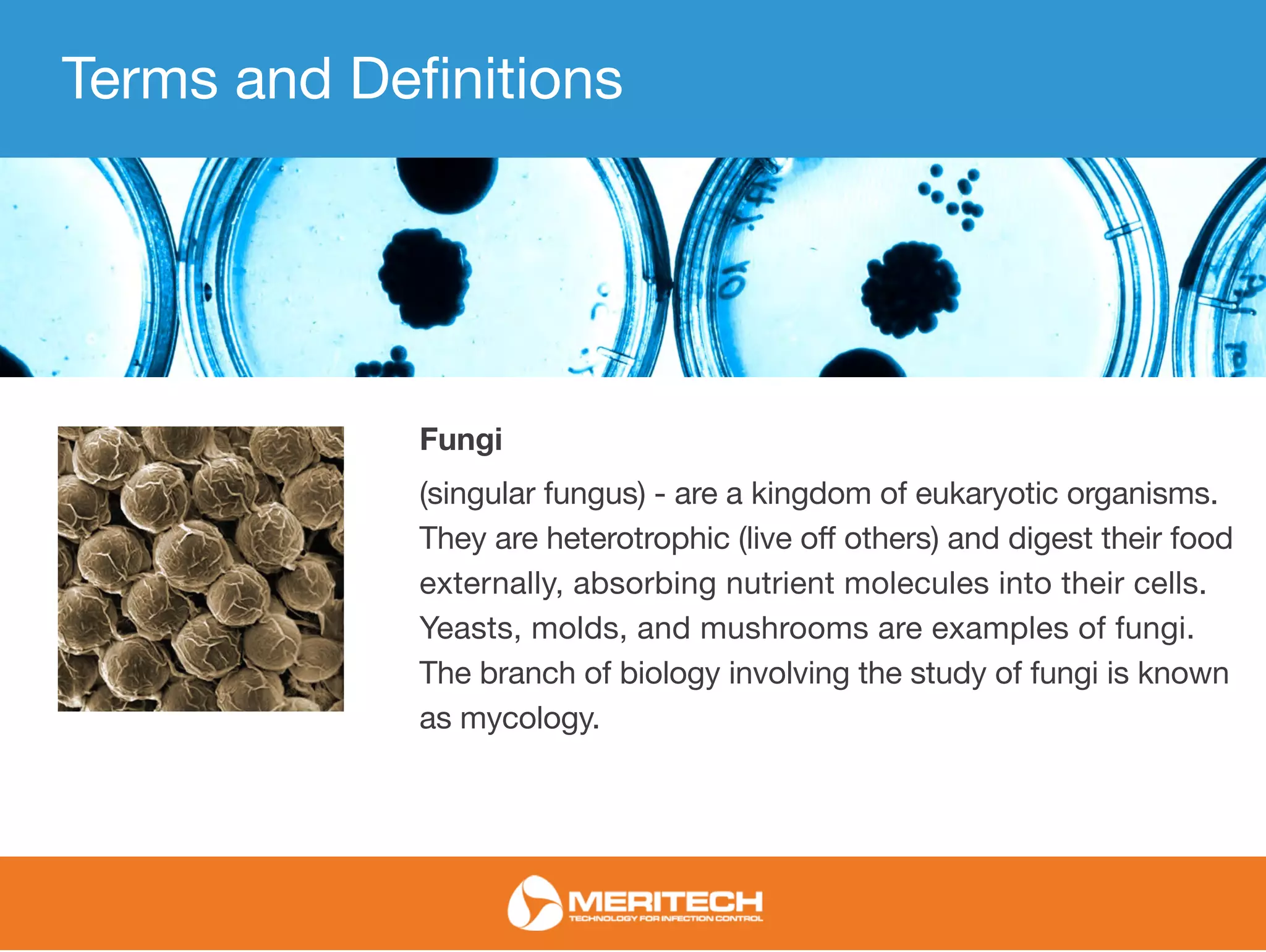 Microbiology 101 | PDF
