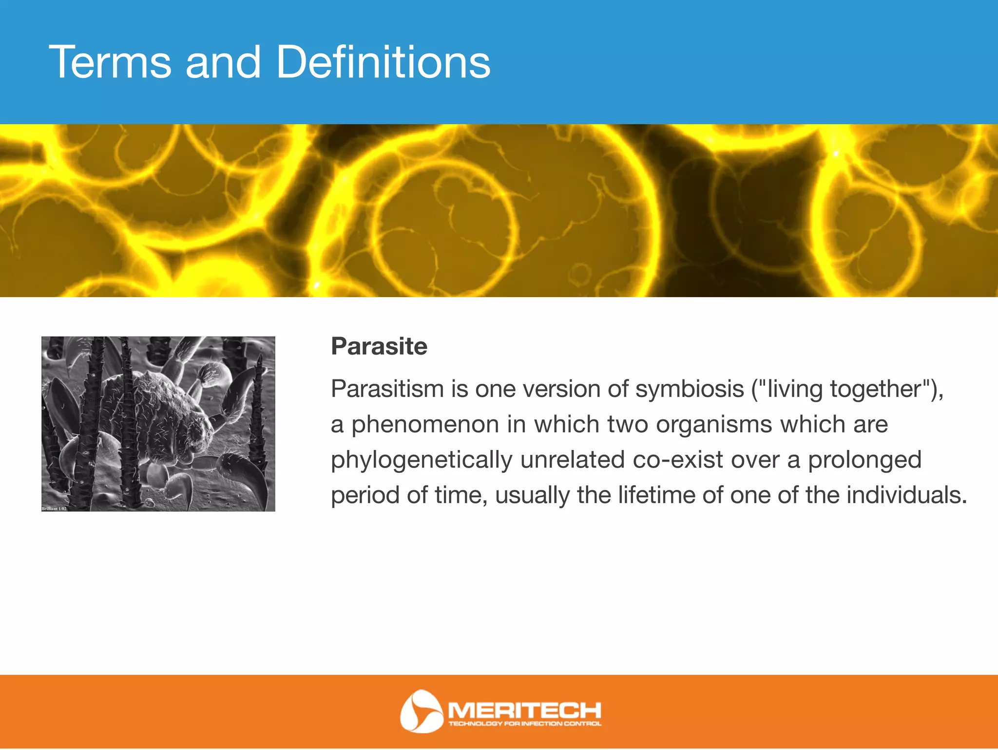 Microbiology 101 | PDF
