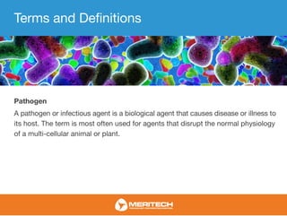 Microbiology 101 | PDF | Infectious Diseases | Diseases and Conditions