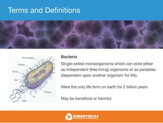 Microbiology 101 | PDF