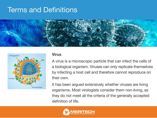 Microbiology 101 | PDF | Infectious Diseases | Diseases and Conditions