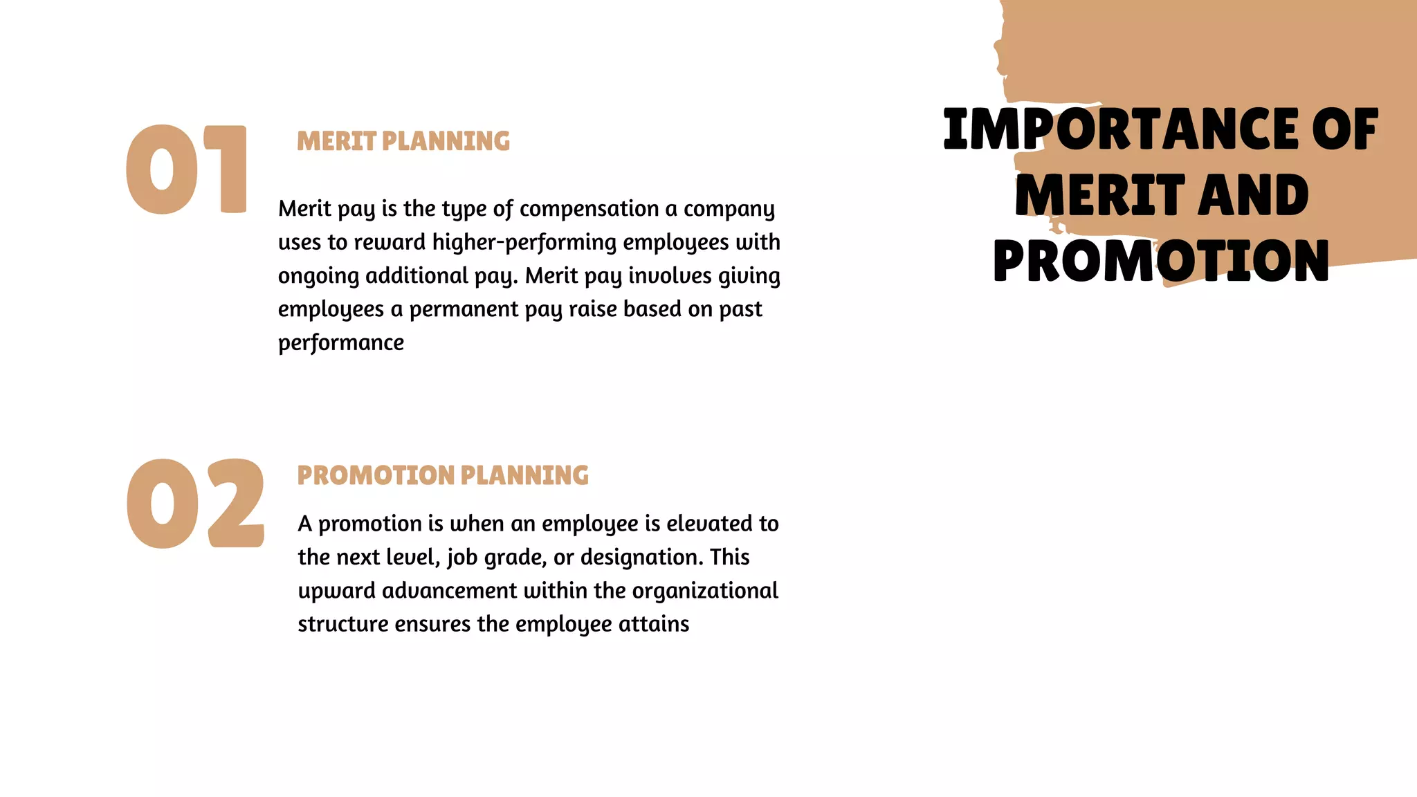 Merit Planning & Promotion Methodology | PDF