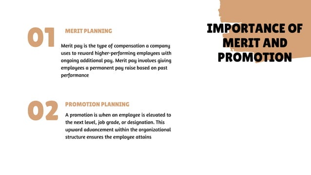 Merit Planning & Promotion Methodology | PDF