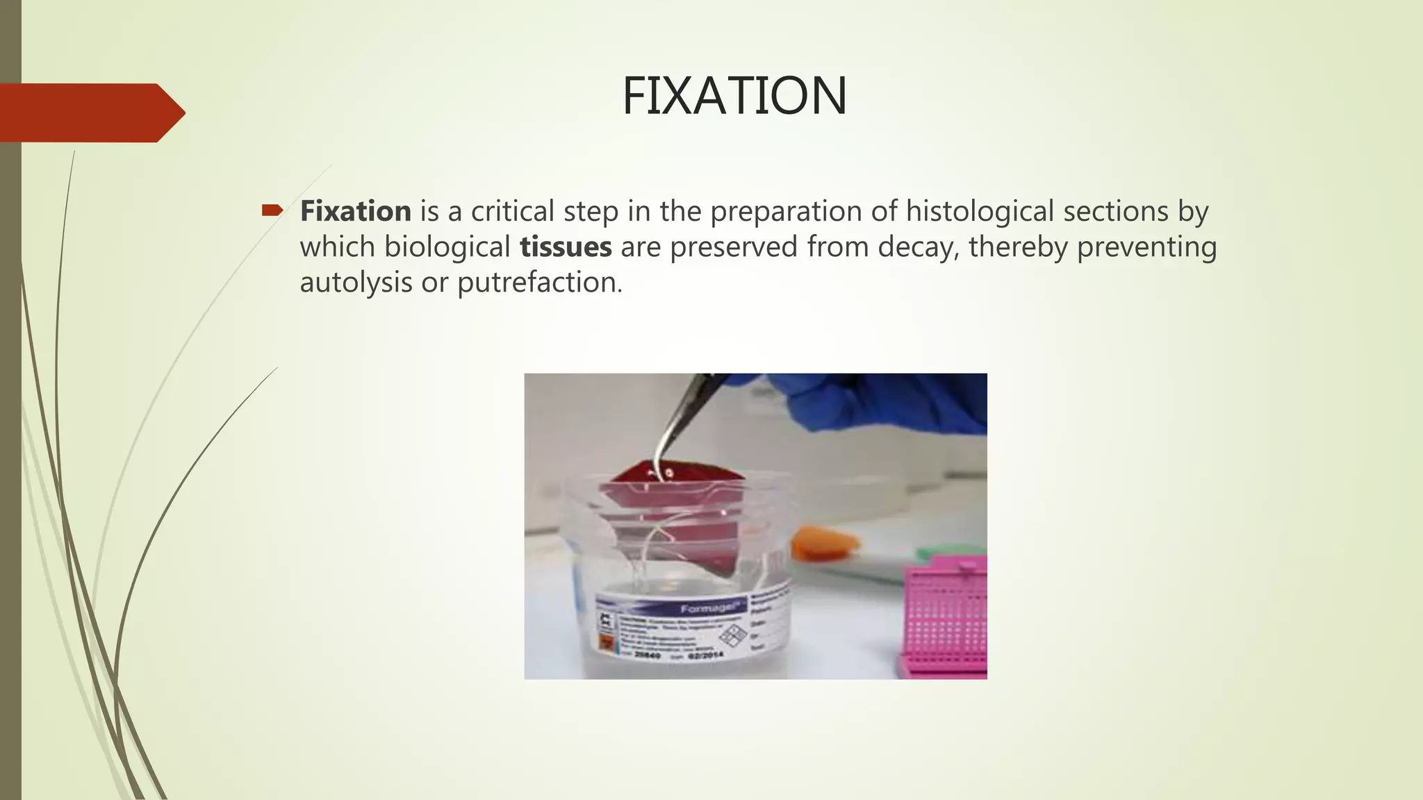Merits and demerits of different fixatives | PPT Merits and demerits of different fixatives | PPT