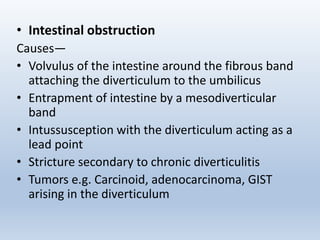 Merkel's diverticulum | PPTX
