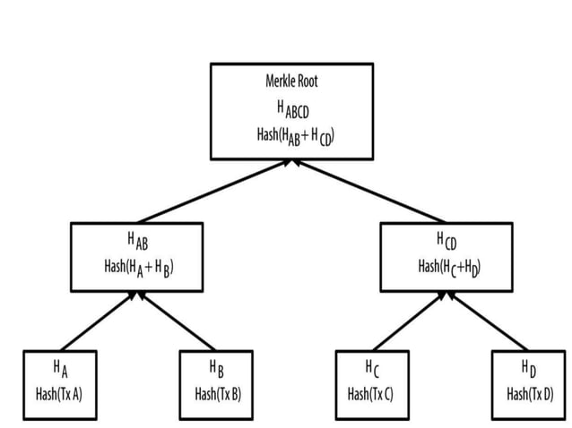 PPT FOR EXPLAINING MERKLE tree and SPV.pptx | Programming Languages | Computing