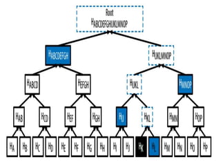PPT FOR EXPLAINING MERKLE tree and SPV.pptx