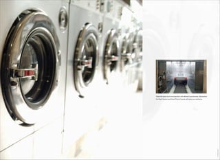 Merlin brochure | PDF