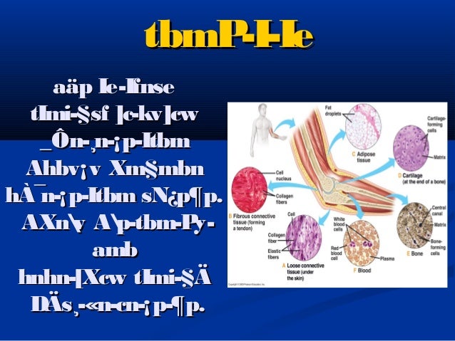 Merin Jose -- Power point