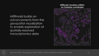 MERmaid - a React WebGL-Based Tool for Exploring Spatially Resolved Single-Cell Transcriptomics ...