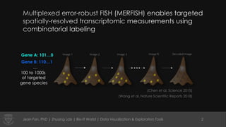 MERmaid - a React WebGL-Based Tool for Exploring Spatially Resolved Single-Cell Transcriptomics ...
