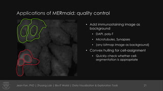 MERmaid - a React WebGL-Based Tool for Exploring Spatially Resolved Single-Cell Transcriptomics ...