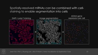 MERmaid - a React WebGL-Based Tool for Exploring Spatially Resolved Single-Cell Transcriptomics ...