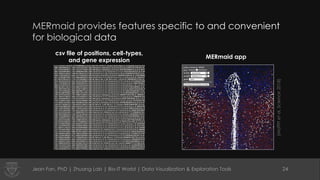 MERmaid - a React WebGL-Based Tool for Exploring Spatially Resolved Single-Cell Transcriptomics ...