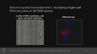 MERmaid - a React WebGL-Based Tool for Exploring Spatially Resolved Single-Cell Transcriptomics ...