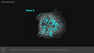 MERmaid - a React WebGL-Based Tool for Exploring Spatially Resolved Single-Cell Transcriptomics ...