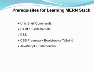 MERN Stack Developer.pptx