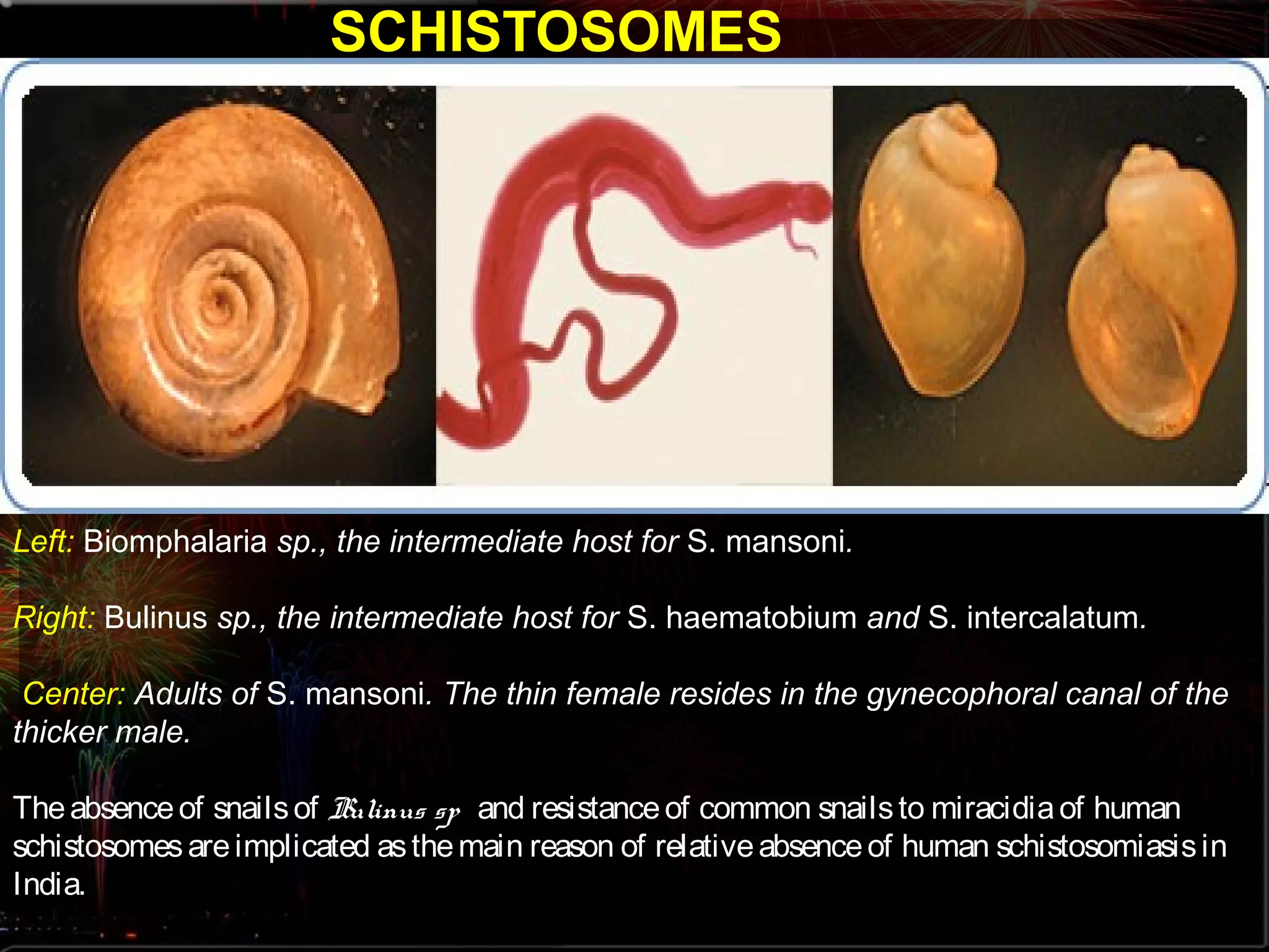 Role of parasites in neoplastic disorders | PPT