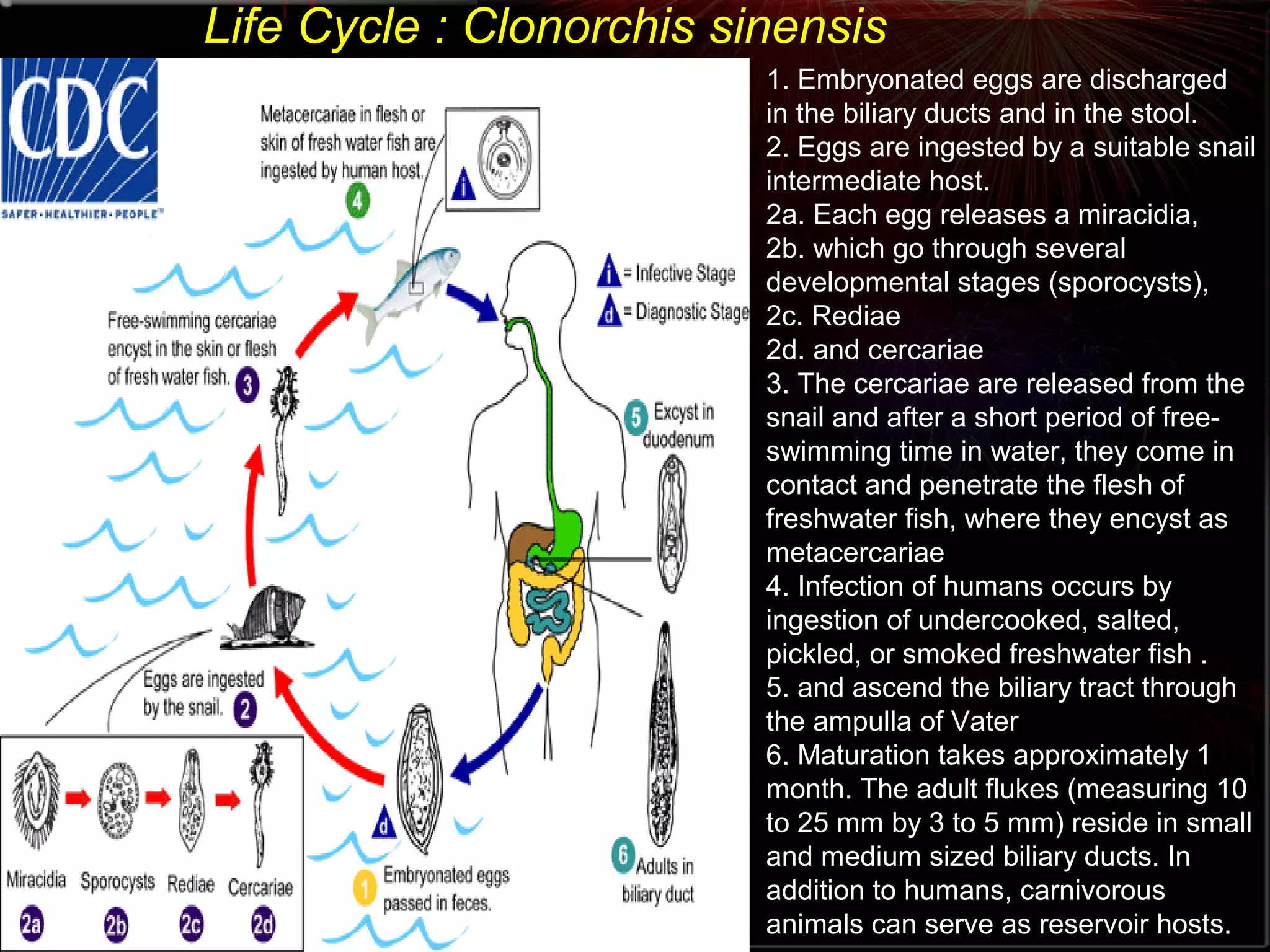 Role of parasites in neoplastic disorders | PPT