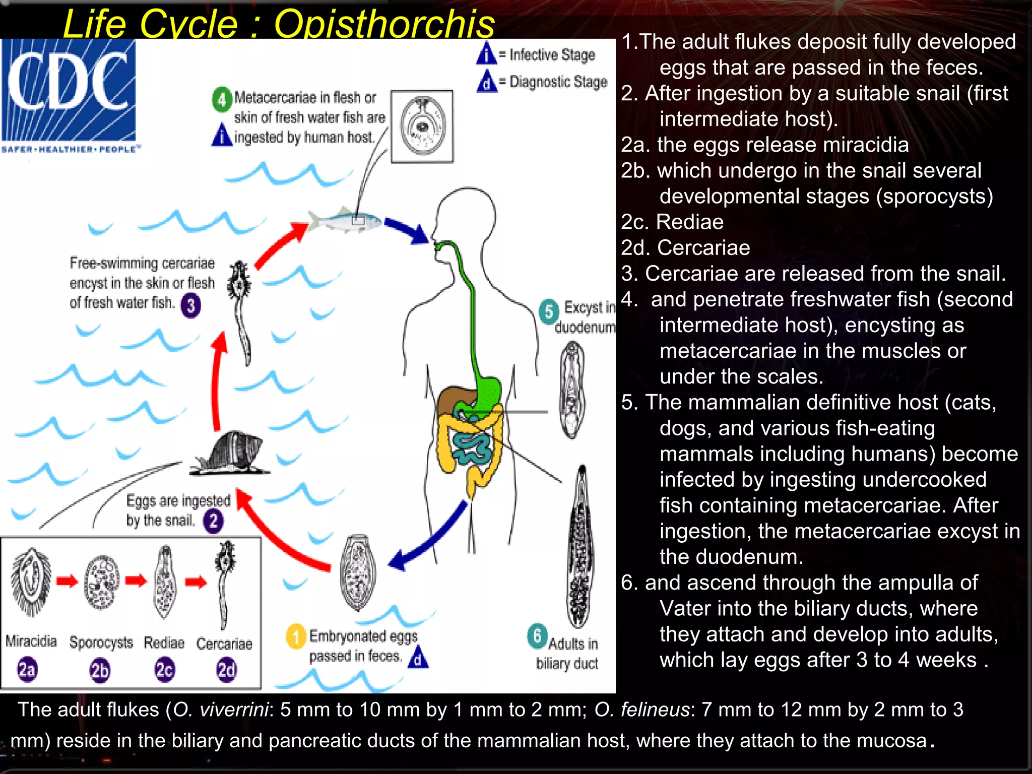 Role of parasites in neoplastic disorders | PPT