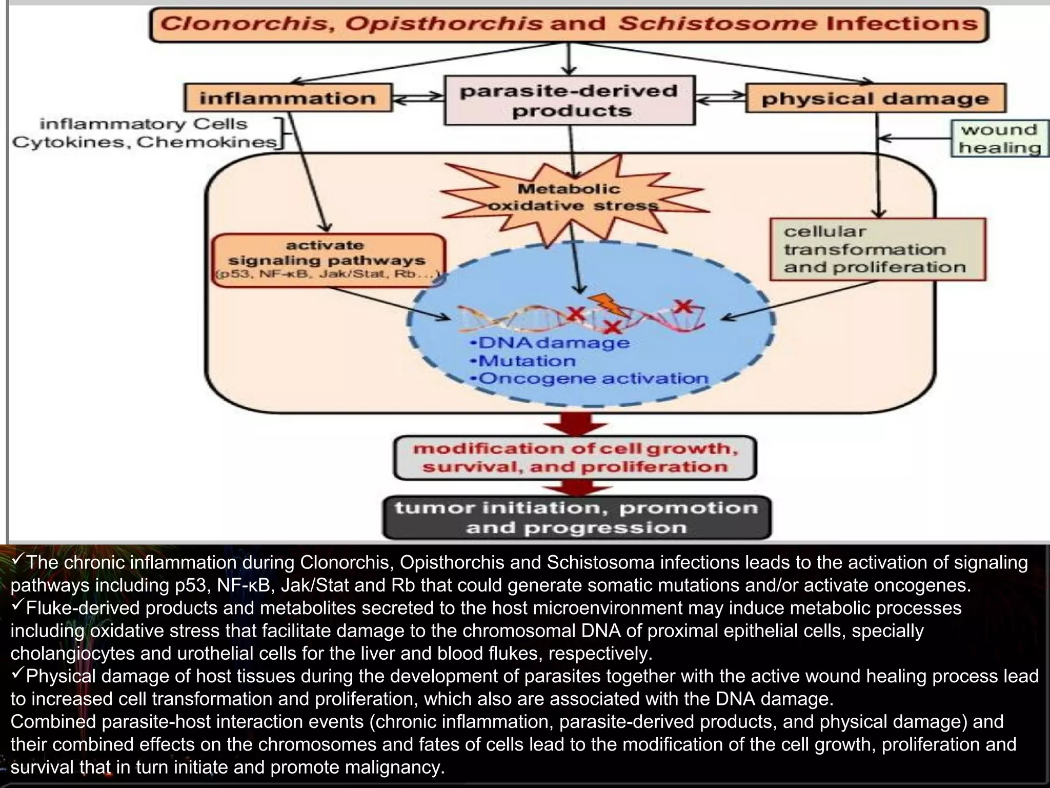Role of parasites in neoplastic disorders | PPT