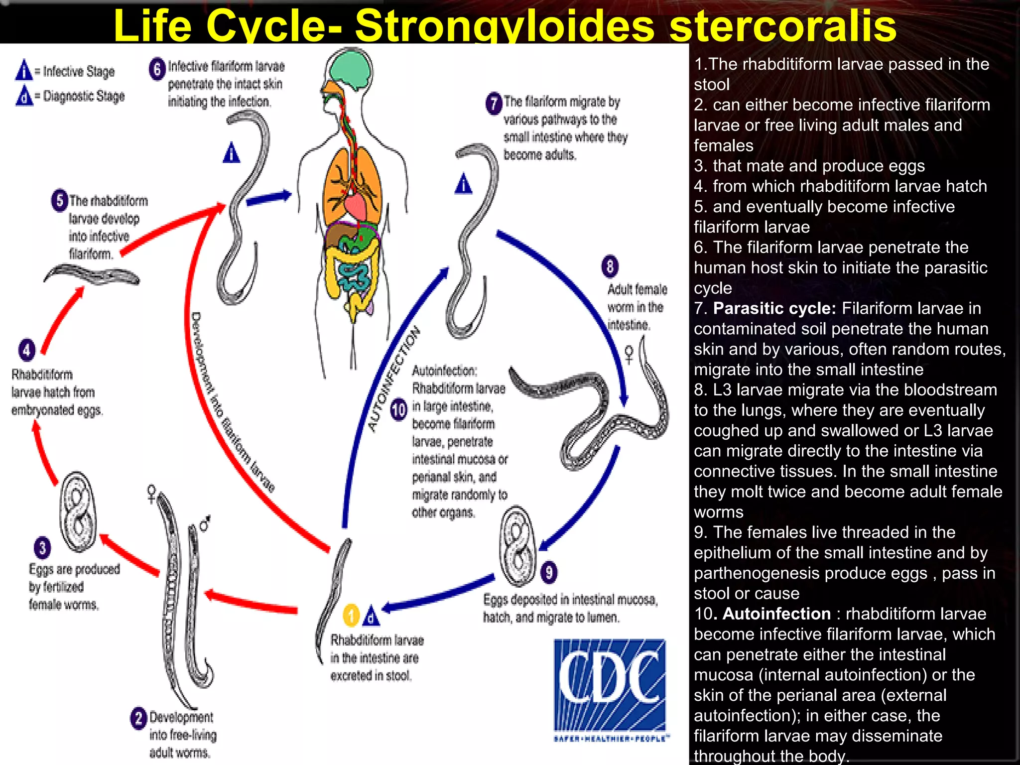 Role of parasites in neoplastic disorders | PPT