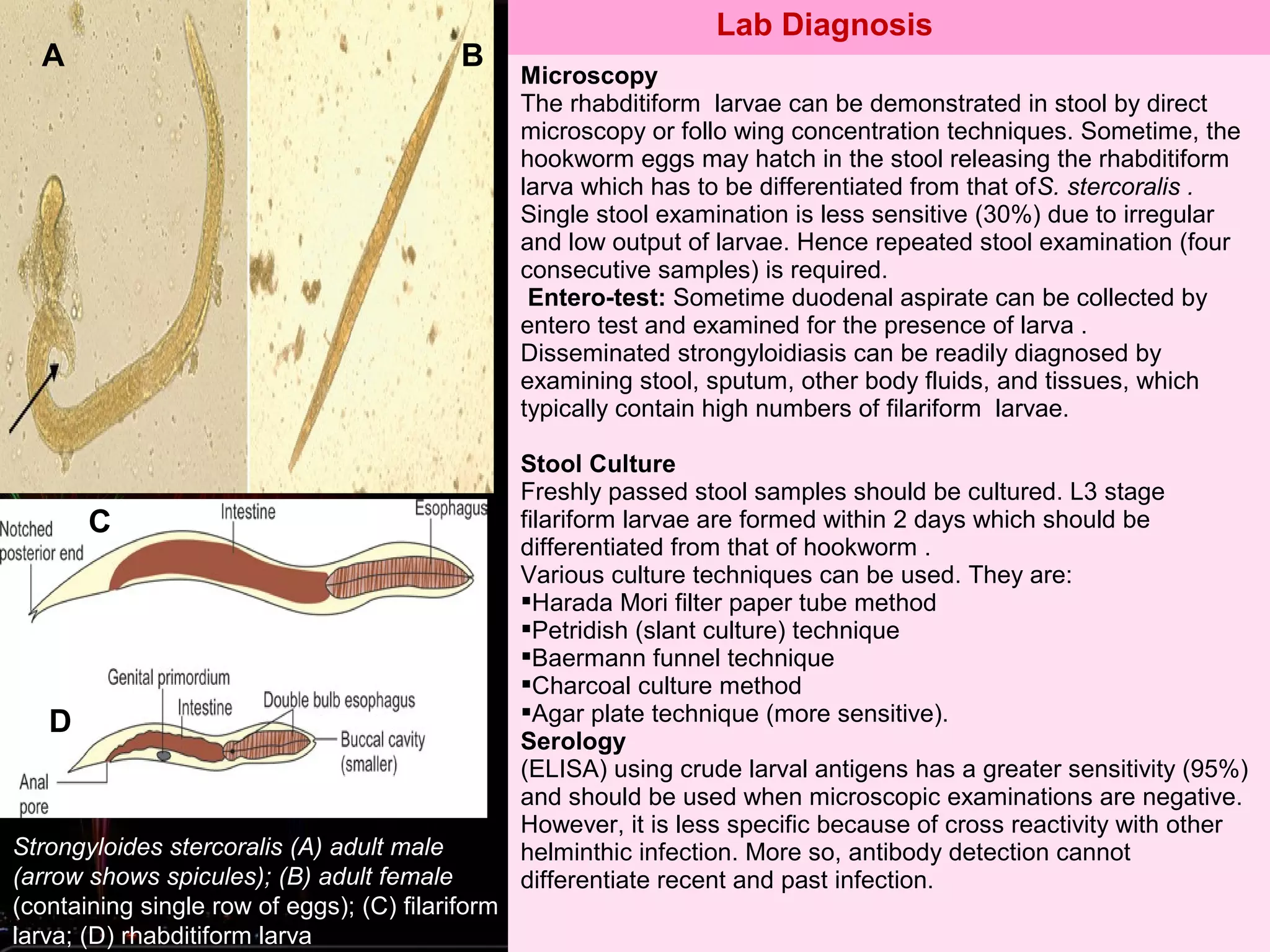 Role of parasites in neoplastic disorders | PPT