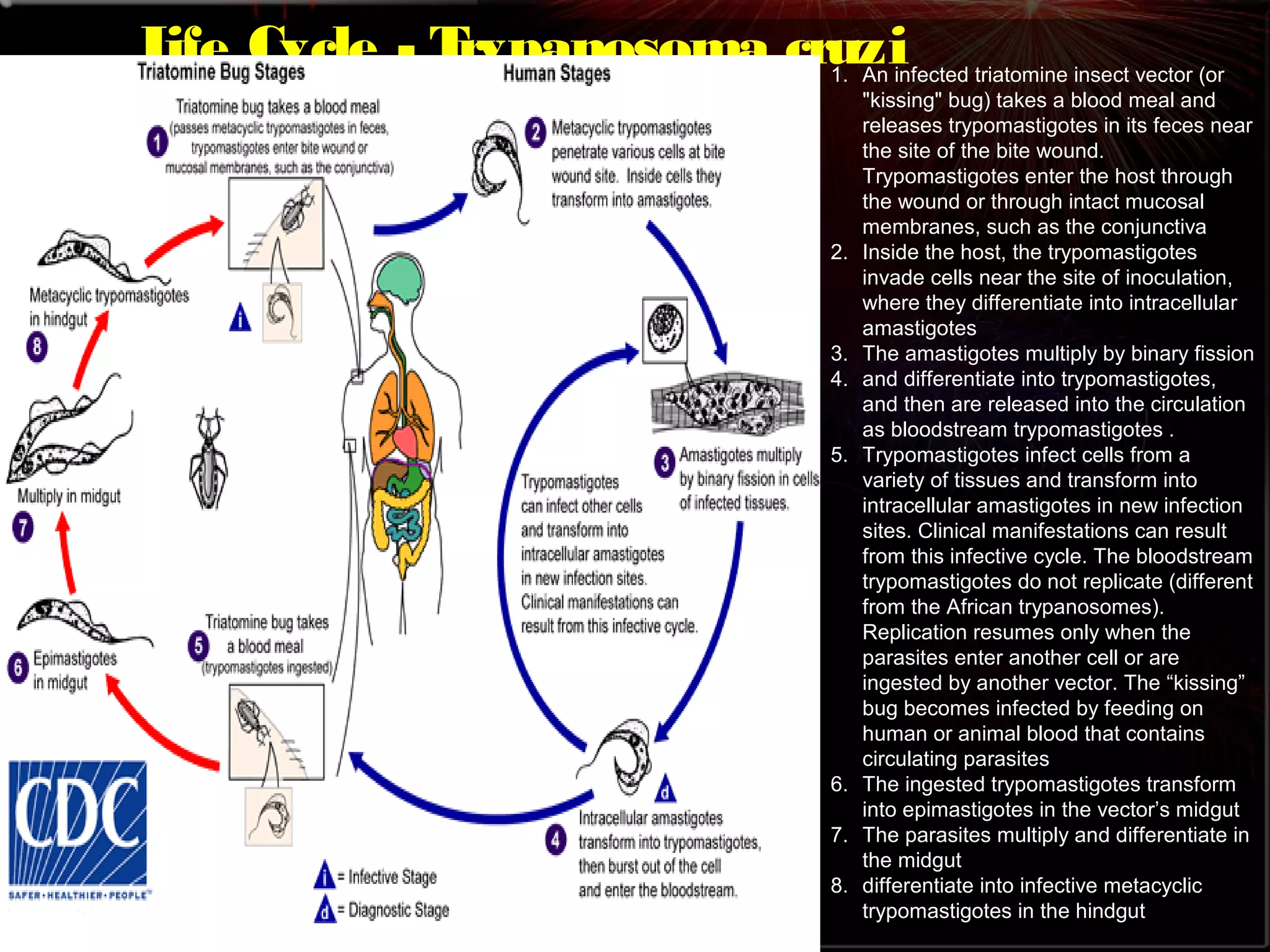 Role of parasites in neoplastic disorders | PPT