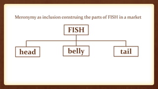 MERONYMY(Lula, May Queenie).pptx