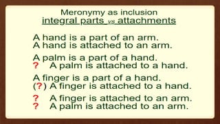 MERONYMY(Lula, May Queenie).pptx