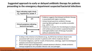 Meropenem in Bacterial Infection in Critically Ill Patients.pptx