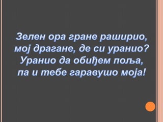 Merosina (preyentacija) | PPTX