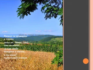 Merosina (preyentacija) | PPT