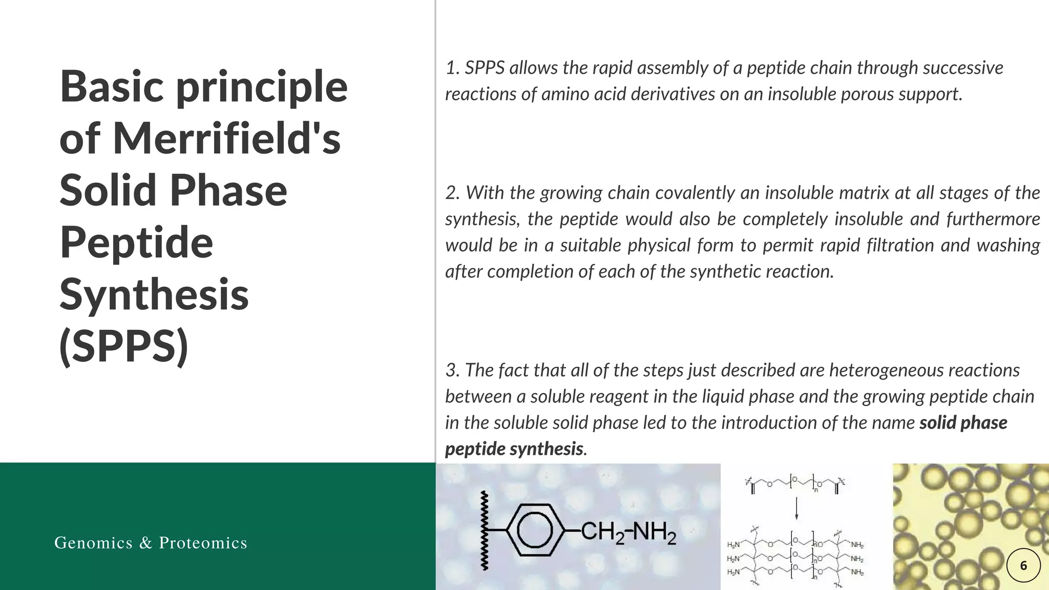Merrifield Synthesis of Peptides | PDF
