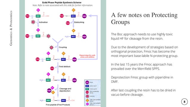 Merrifield Synthesis of Peptides | PDF | Chemistry | Science