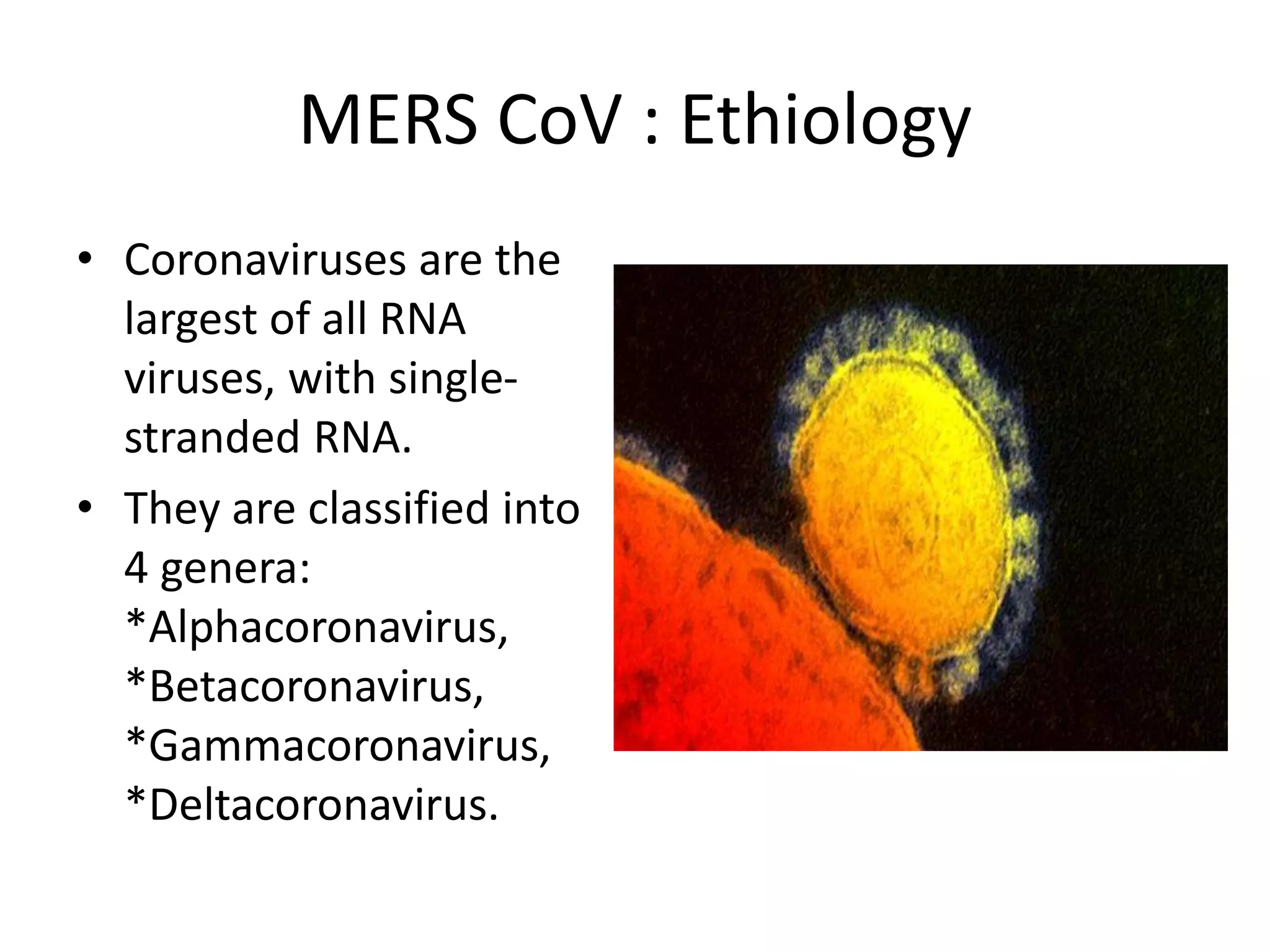 Middle East Respiratory Syndrome MERS | PPTX