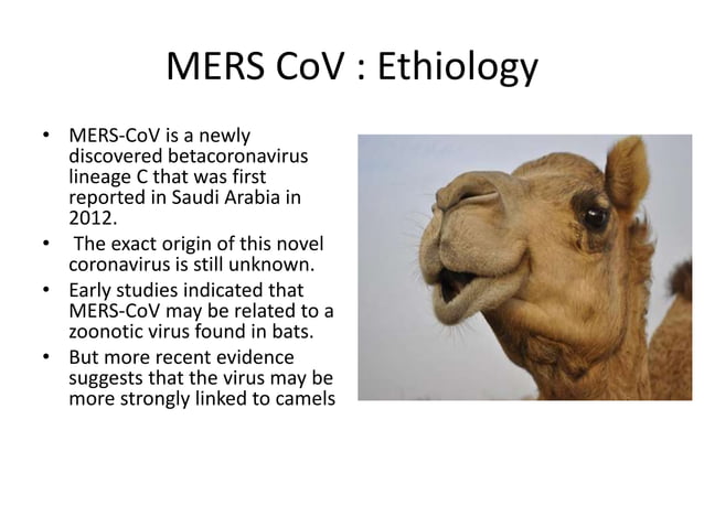 Middle East Respiratory Syndrome MERS | PPTX