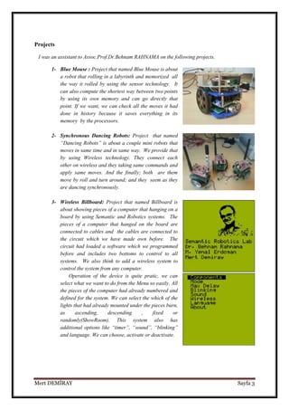 Mert cv english | PDF