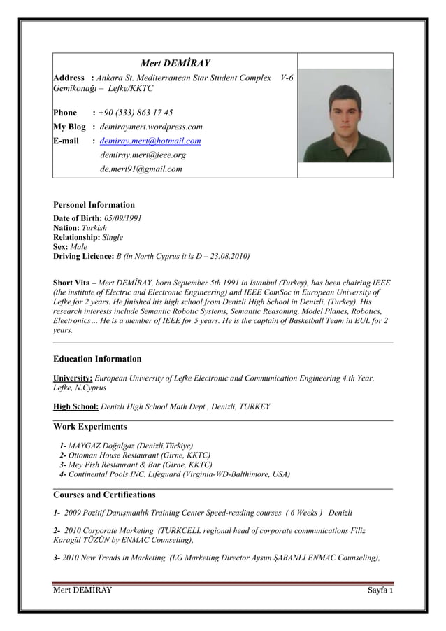 Mert cv english | PDF