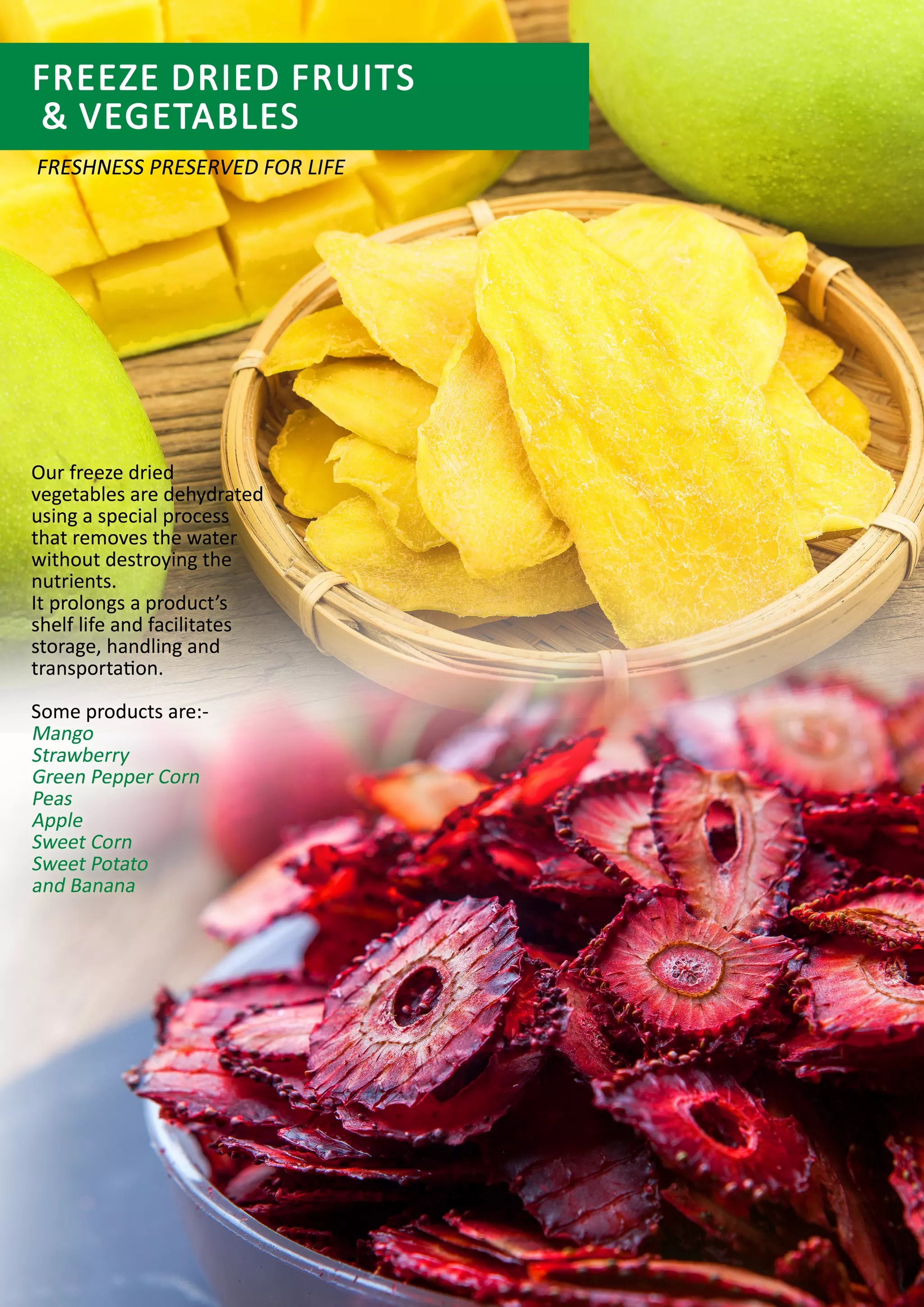 MERTO FINAL BROCHURE 2023.pdf