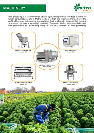 MERTO FINAL BROCHURE 2023.pdf